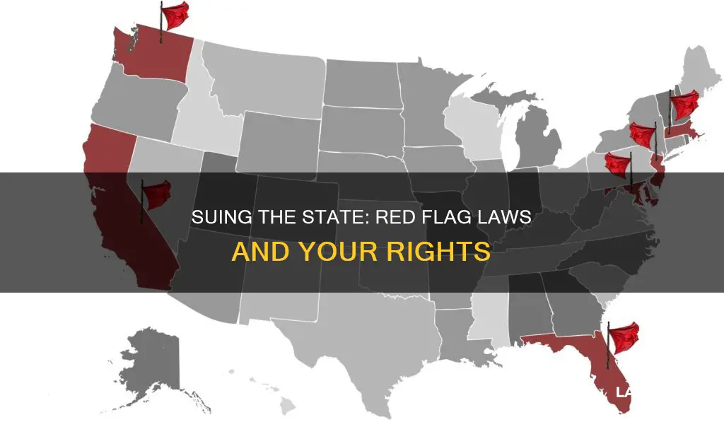 Suing The State: Red Flag Laws And Your Rights | LawShun