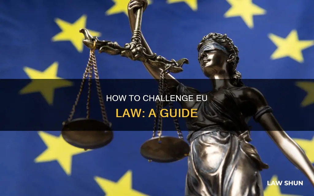 How To Challenge Eu Law: A Guide | LawShun