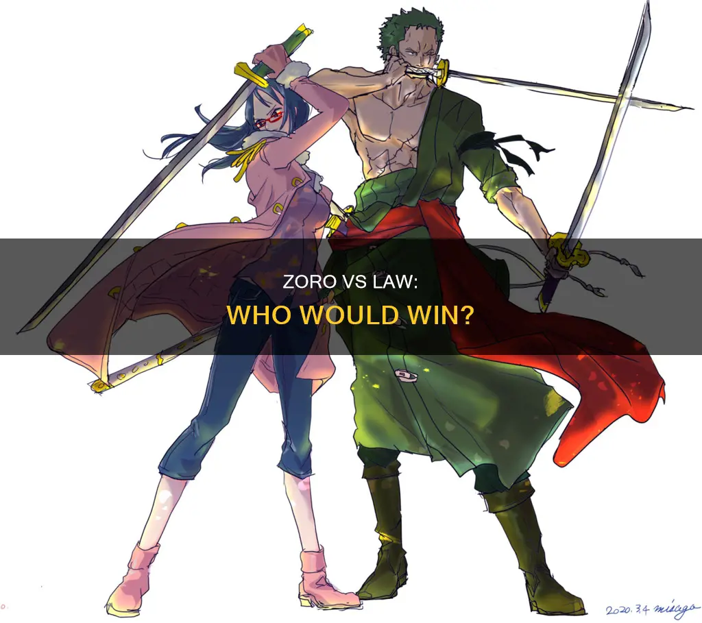 Zoro Vs Law: Who Would Win? | LawShun