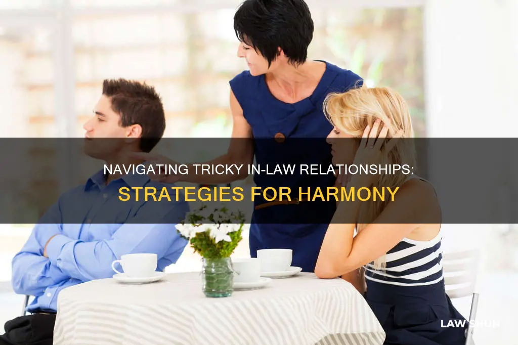 Navigating Tricky In-Law Relationships: Strategies For Harmony | LawShun