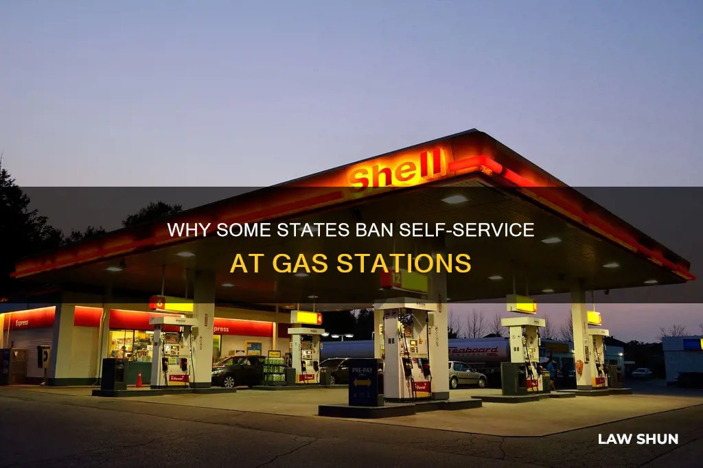 Why Some States Ban Self-Service At Gas Stations | LawShun