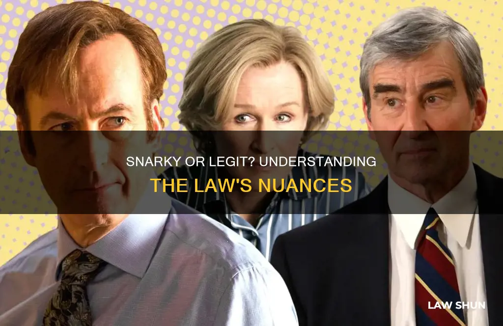 Snarky Or Legit? Understanding The Law's Nuances | LawShun