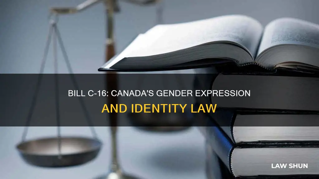 Bill C-16: Canada's Gender Expression And Identity Law | LawShun