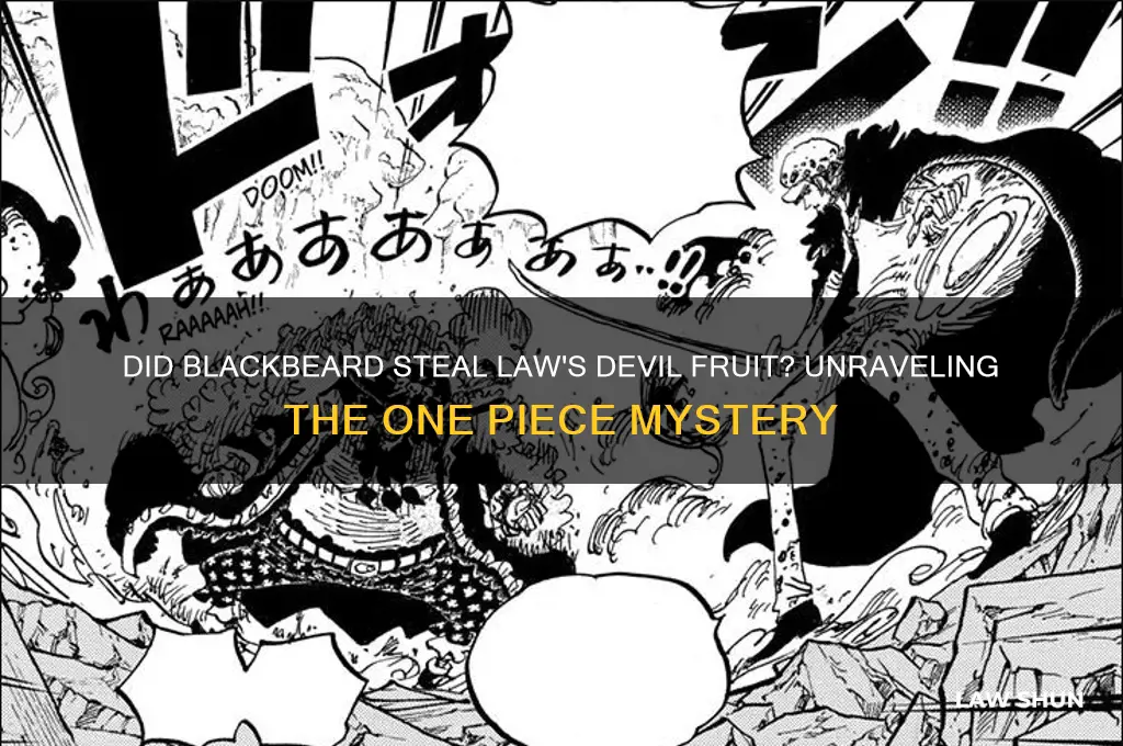 Did Blackbeard Steal Law's Devil Fruit? Unraveling The One Piece ...
