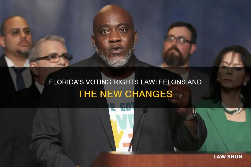 Florida's Voting Rights Law: Felons And The New Changes | LawShun