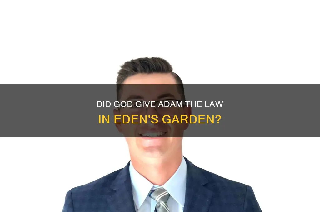 Did God Give Adam The Law In Eden's Garden? | LawShun