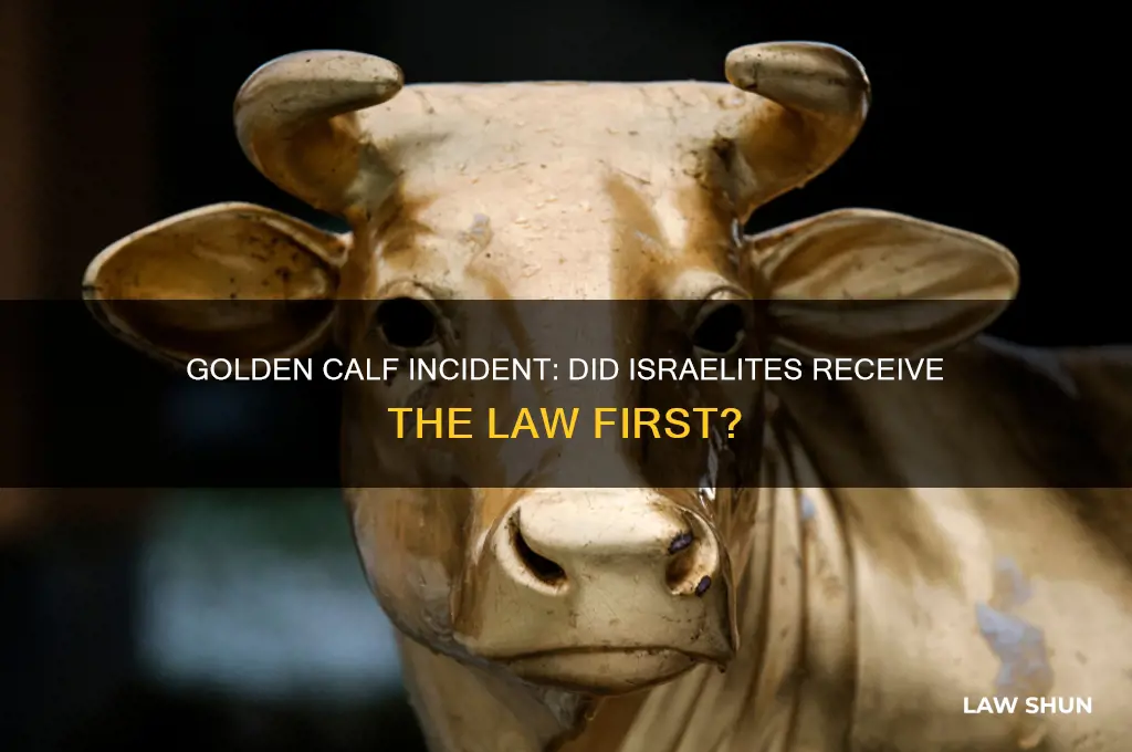 Golden Calf Incident: Did Israelites Receive The Law First? | LawShun