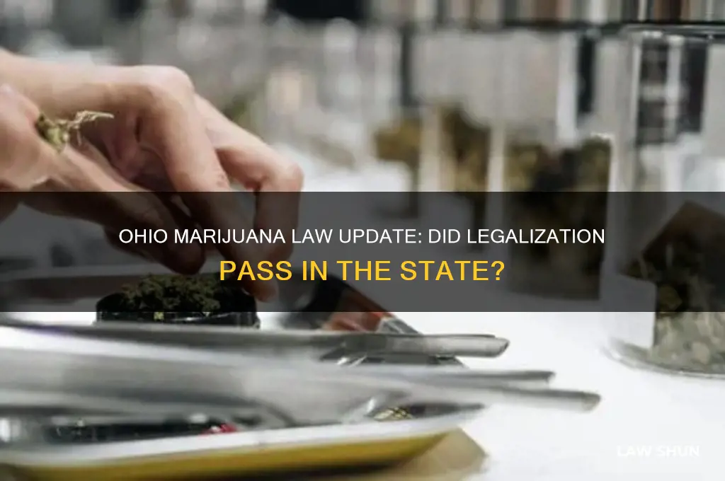 Ohio Marijuana Law Update: Did Legalization Pass In The State? | LawShun