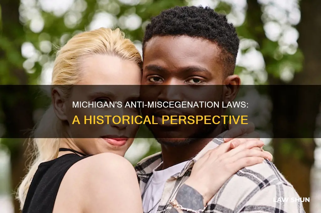 Michigan's Anti-Miscegenation Laws: A Historical Perspective | LawShun