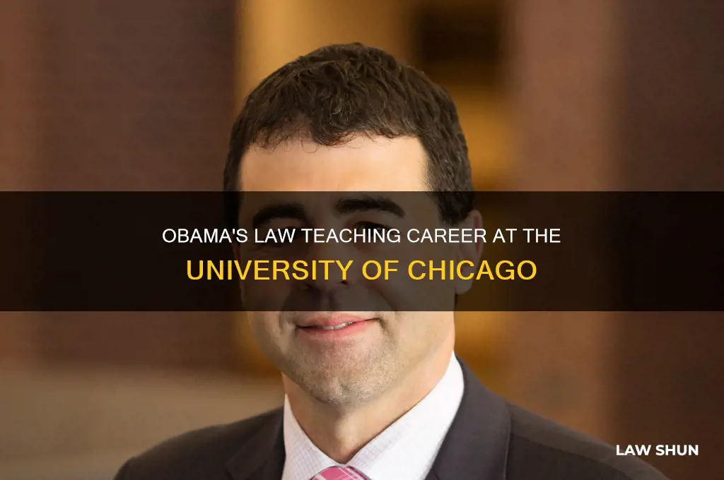 Obama's Law Teaching Career At The University Of Chicago | LawShun
