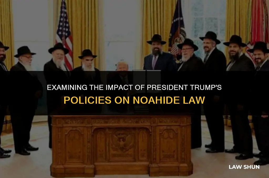Examining The Impact Of President Trump's Policies On Noahide Law | LawShun