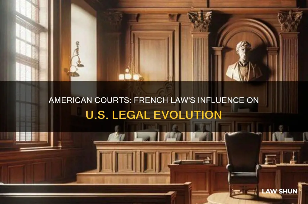 American Courts: French Law's Influence On U.S. Legal Evolution | LawShun