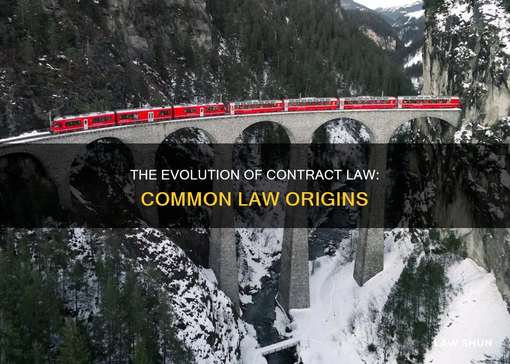 The Evolution Of Contract Law: Common Law Origins | LawShun