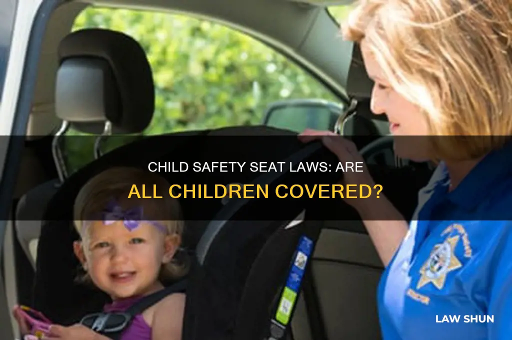 Child Safety Seat Laws: Are All Children Covered? | LawShun