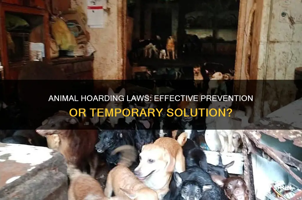 Animal Hoarding Laws: Effective Prevention Or Temporary Solution? | LawShun