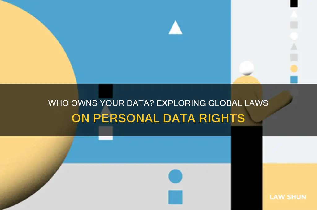 Who Owns Your Data? Exploring Global Laws On Personal Data Rights | LawShun