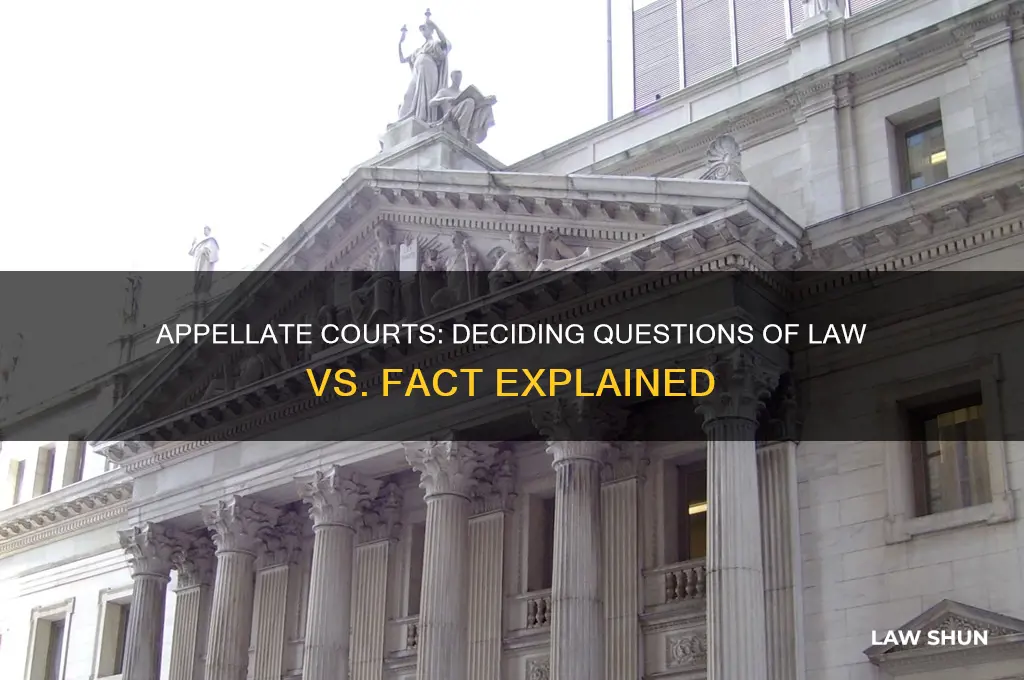 Appellate Courts: Deciding Questions Of Law Vs. Fact Explained | LawShun