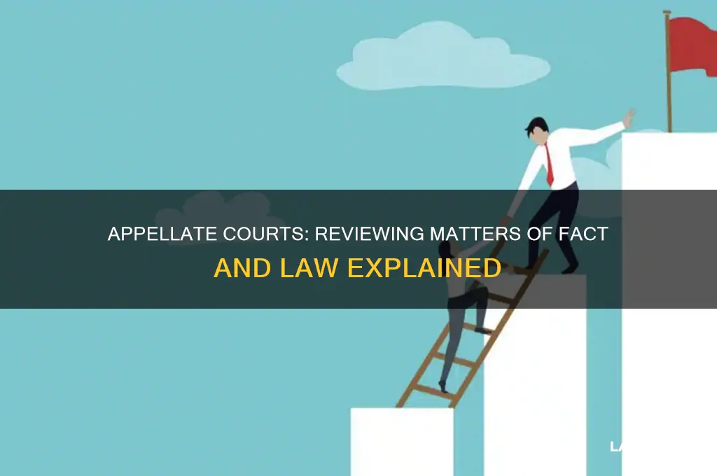 Appellate Courts: Reviewing Matters Of Fact And Law Explained | LawShun