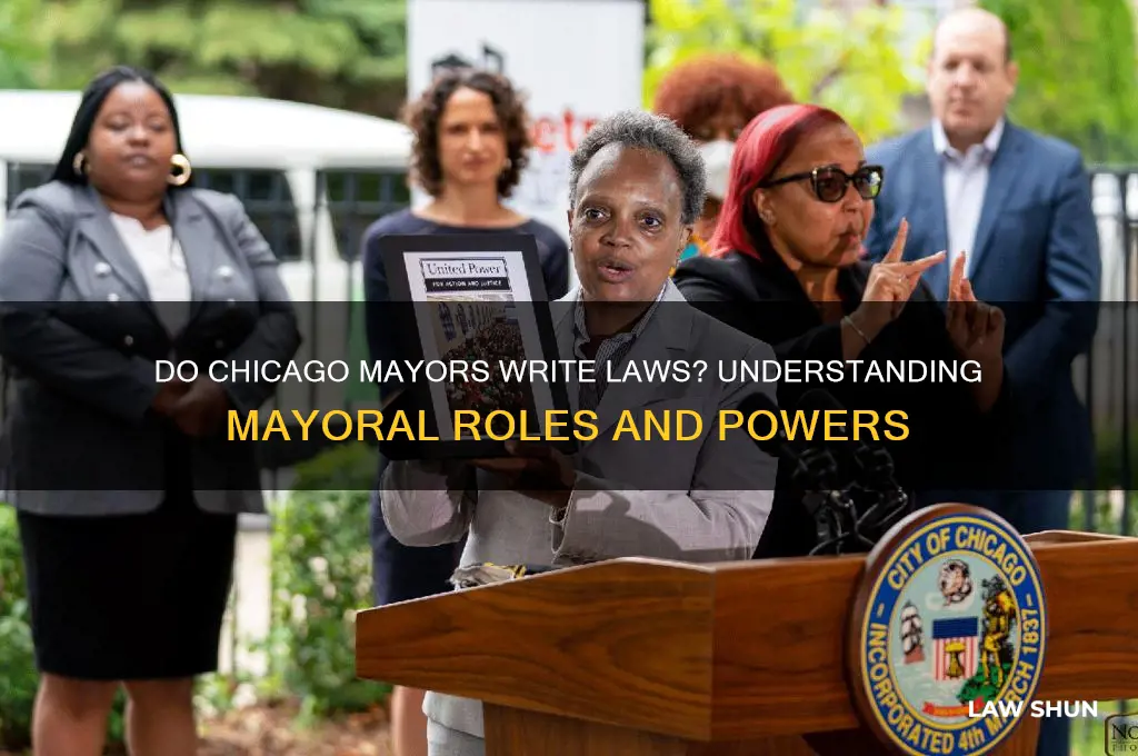 Do Chicago Mayors Write Laws? Understanding Mayoral Roles And Powers ...