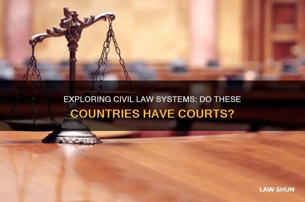 Exploring Civil Law Systems: Do These Countries Have Courts? | LawShun