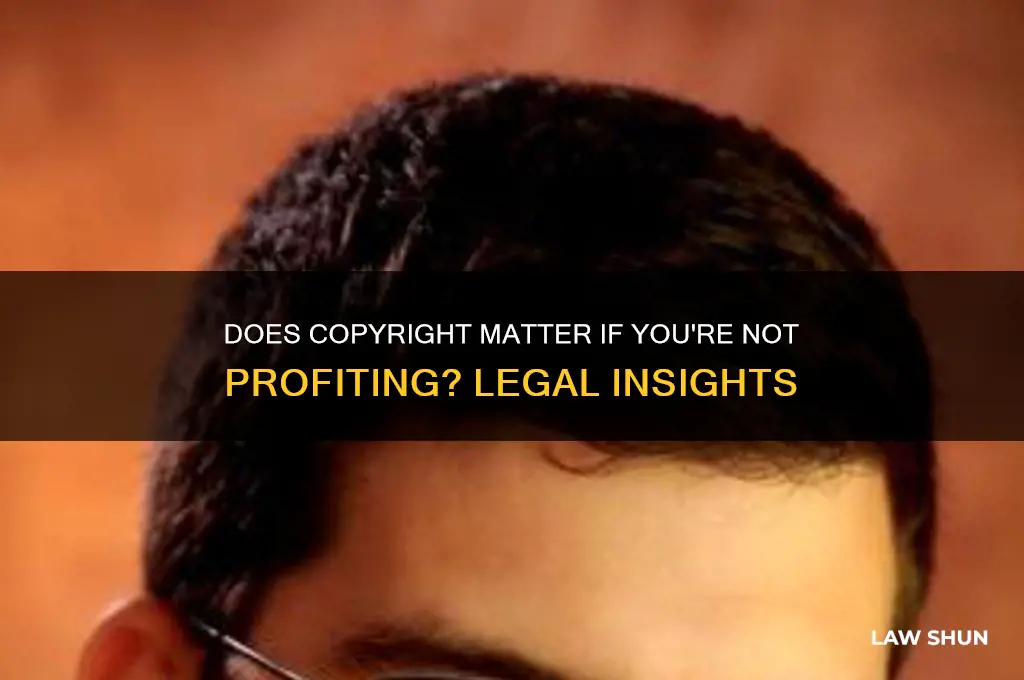 Does Copyright Matter If You're Not Profiting? Legal Insights | LawShun