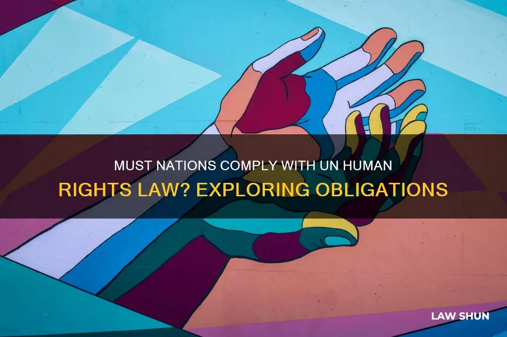 Must Nations Comply With Un Human Rights Law? Exploring Obligations ...