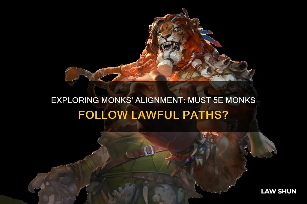 Exploring Monks' Alignment: Must 5E Monks Follow Lawful Paths? | LawShun