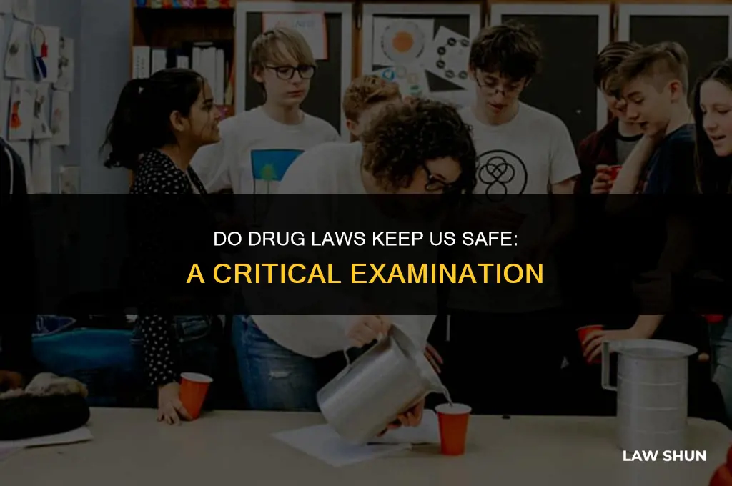 Do Drug Laws Keep Us Safe: A Critical Examination | LawShun