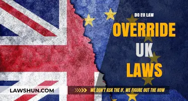 Uk's Do Not Resuscitate Laws: Understanding Your Rights | LawShun