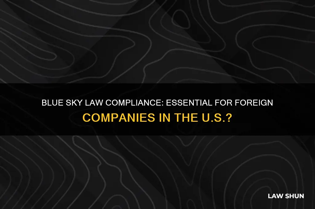 Blue Sky Law Compliance: Essential For Foreign Companies In The U.S ...