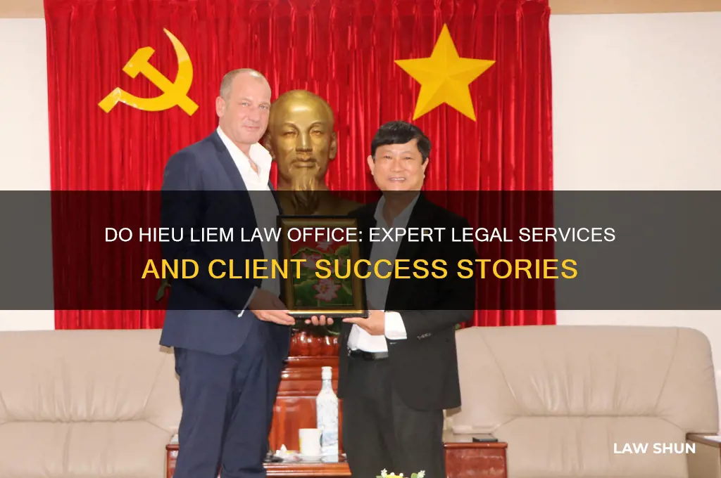 Do Hieu Liem Law Office: Expert Legal Services And Client Success ...