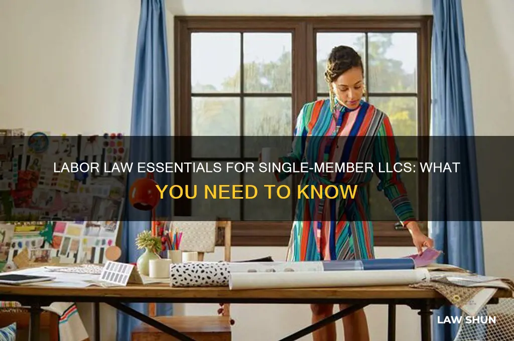 Labor Law Essentials For Single-Member Llcs: What You Need To Know ...