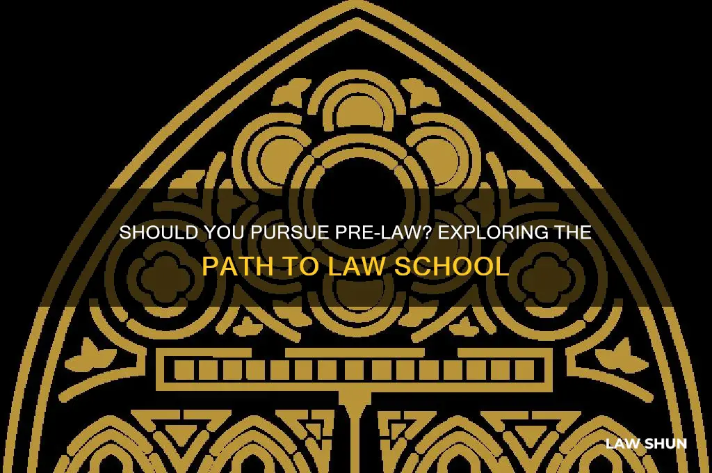 Should You Pursue Pre-Law? Exploring The Path To Law School | LawShun