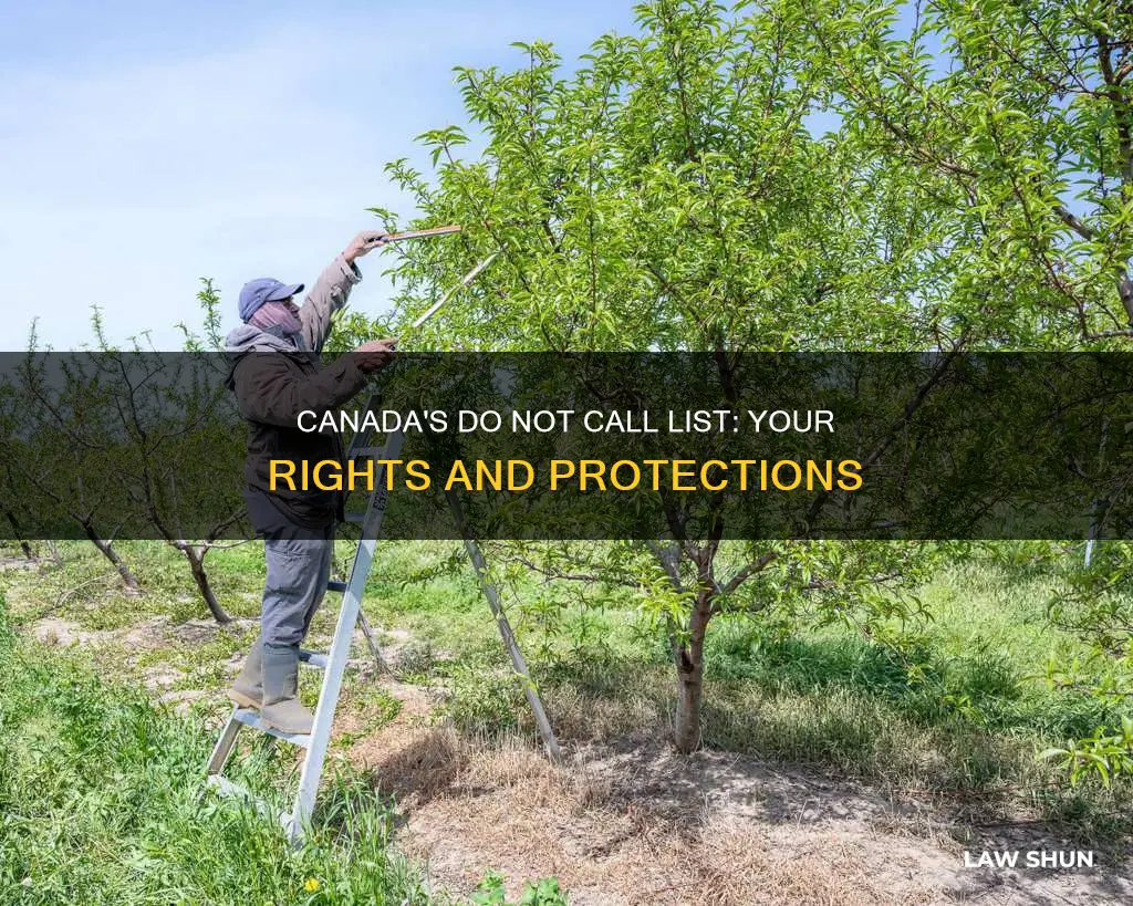 Canada's Do Not Call List: Your Rights And Protections | LawShun