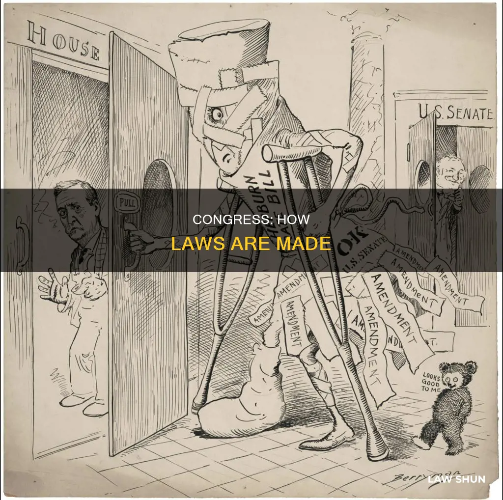 Congress: How Laws Are Made | LawShun