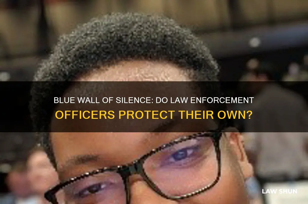 Blue Wall Of Silence: Do Law Enforcement Officers Protect Their Own ...