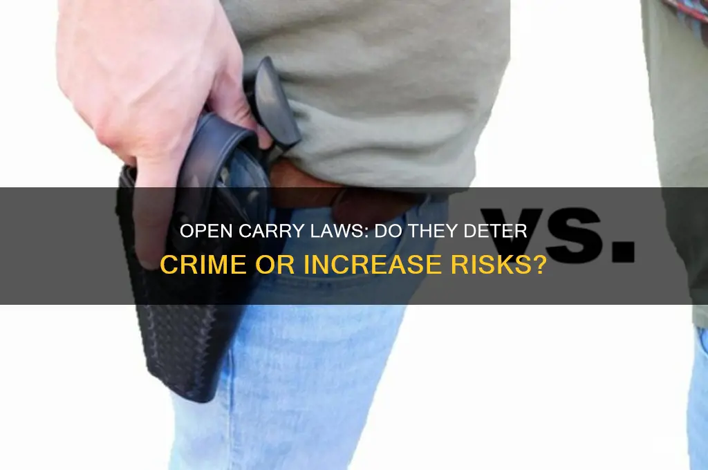 Open Carry Laws: Do They Deter Crime Or Increase Risks? | LawShun