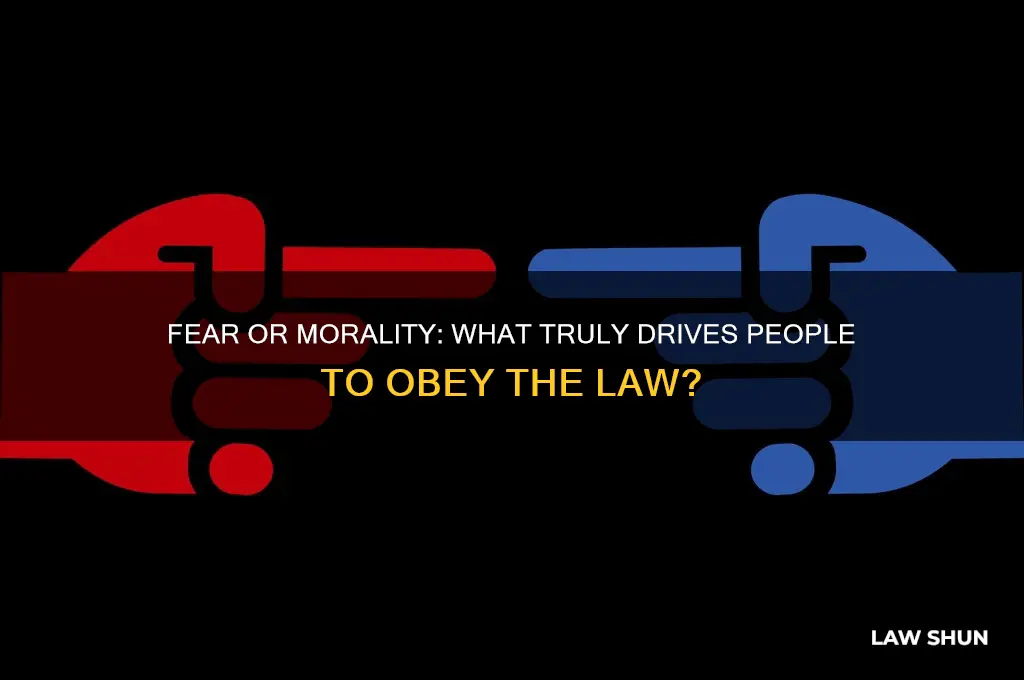Fear Or Morality: What Truly Drives People To Obey The Law? | LawShun