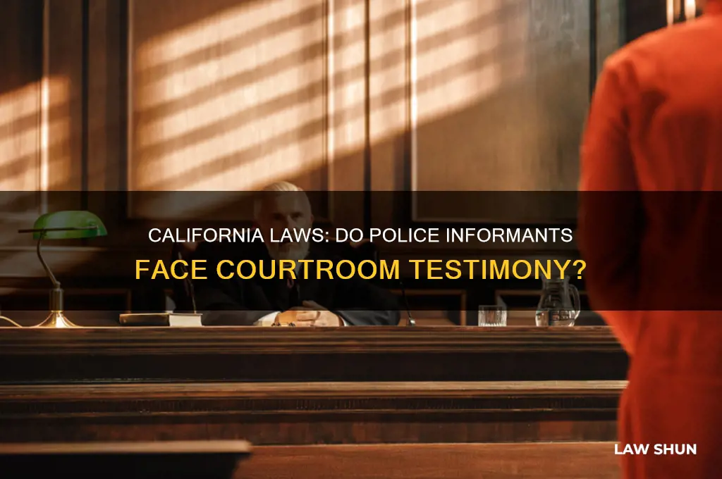 California Laws: Do Police Informants Face Courtroom Testimony? | LawShun