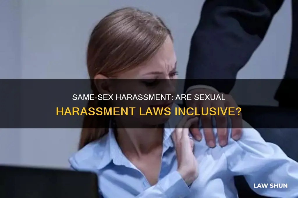 Same-Sex Harassment: Are Sexual Harassment Laws Inclusive? | LawShun