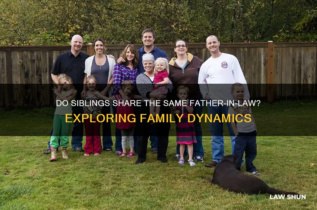 Do Siblings Share The Same Father-In-Law? Exploring Family Dynamics ...