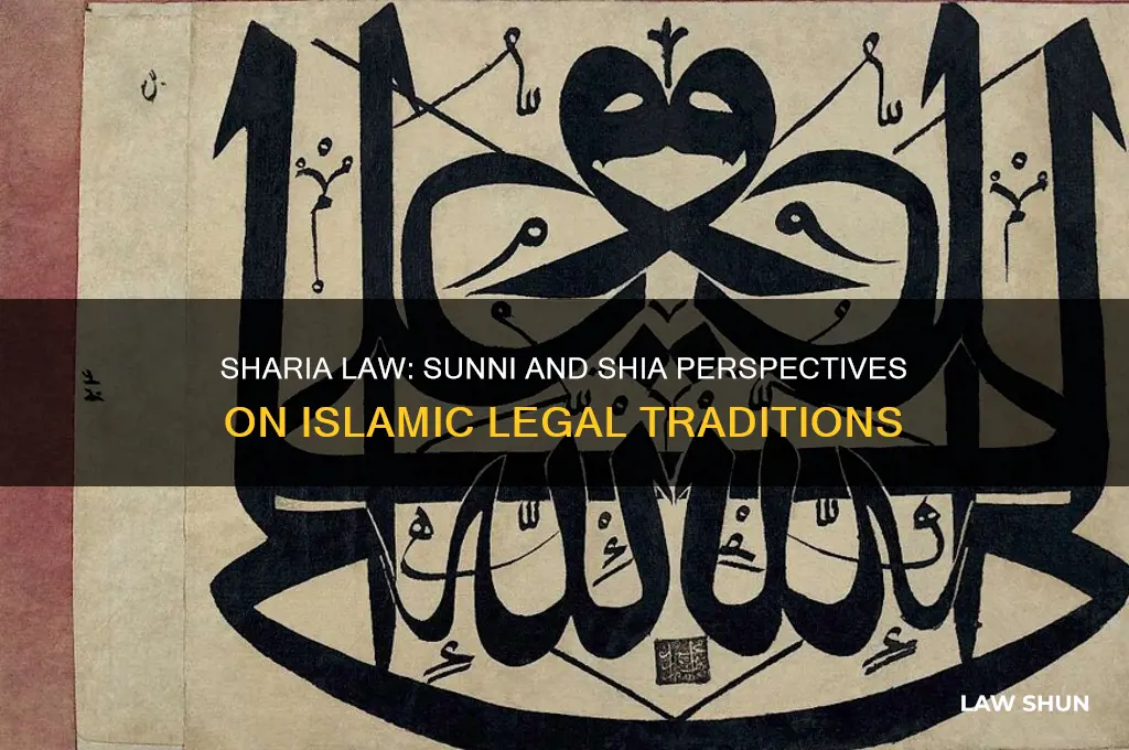 Sharia Law: Sunni And Shia Perspectives On Islamic Legal Traditions ...