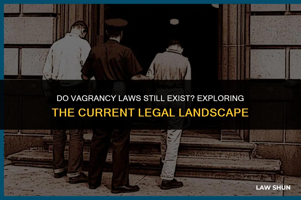 Do Vagrancy Laws Still Exist? Exploring The Current Legal Landscape ...