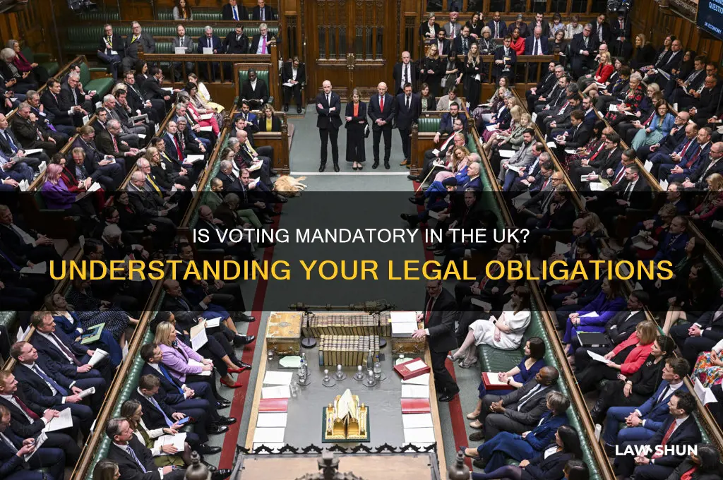 Is Voting Mandatory In The Uk? Understanding Your Legal Obligations ...
