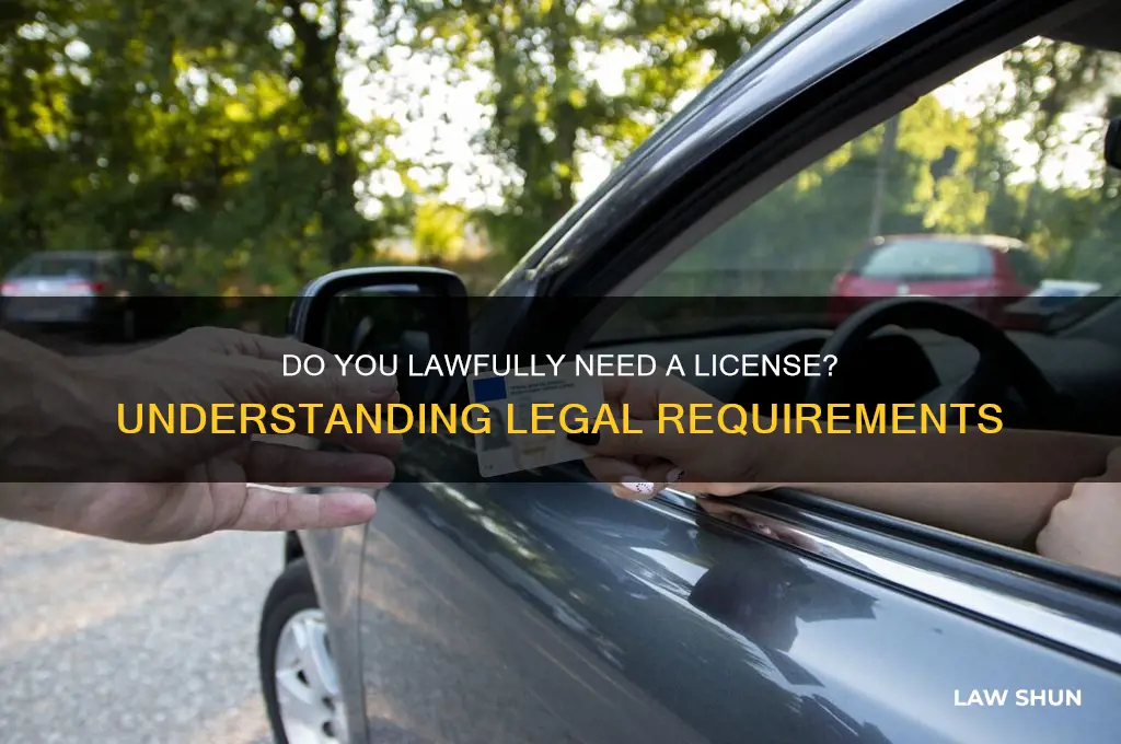 Do You Lawfully Need A License? Understanding Legal Requirements | LawShun