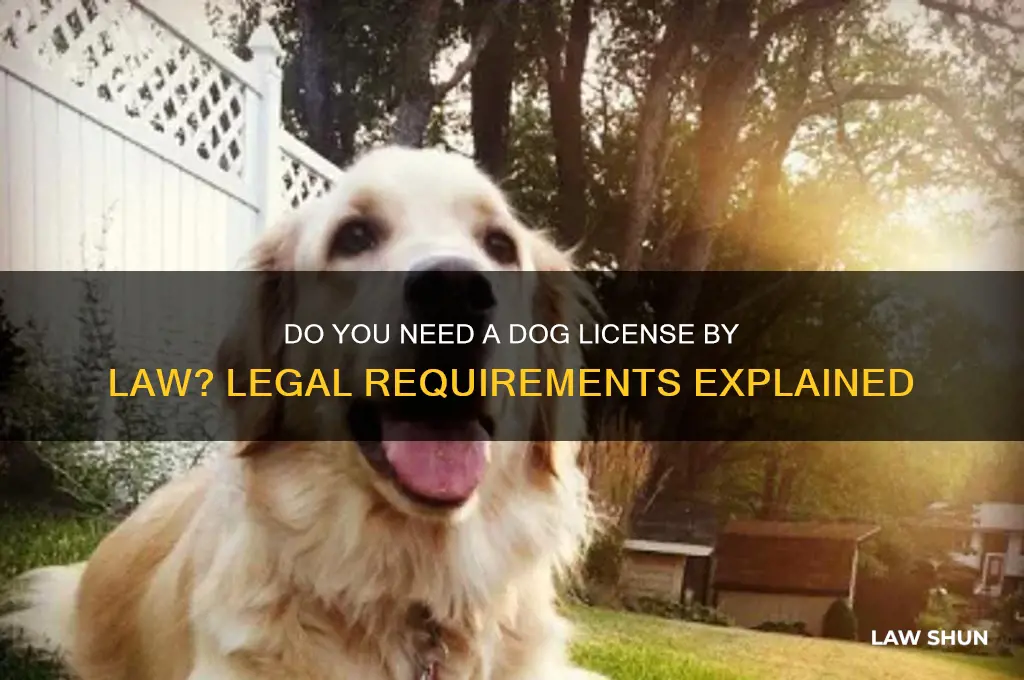 Do You Need A Dog License By Law? Legal Requirements Explained | LawShun
