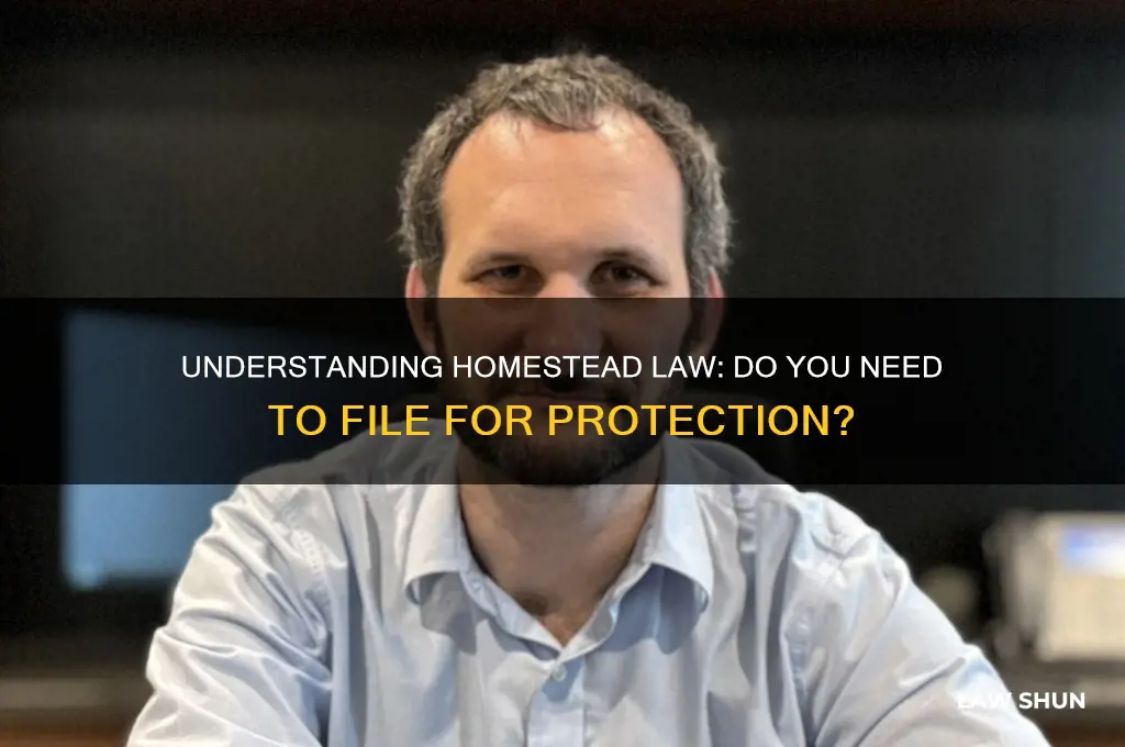 Understanding Homestead Law: Do You Need To File For Protection? | LawShun