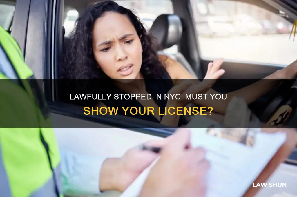 Lawfully Stopped In Nyc: Must You Show Your License? | LawShun