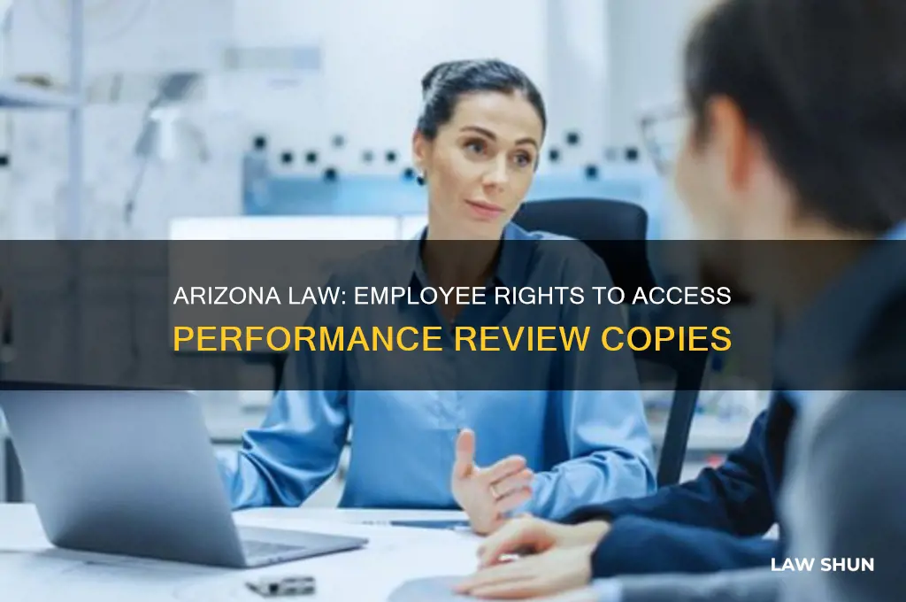 Arizona Law: Employee Rights To Access Performance Review Copies | LawShun