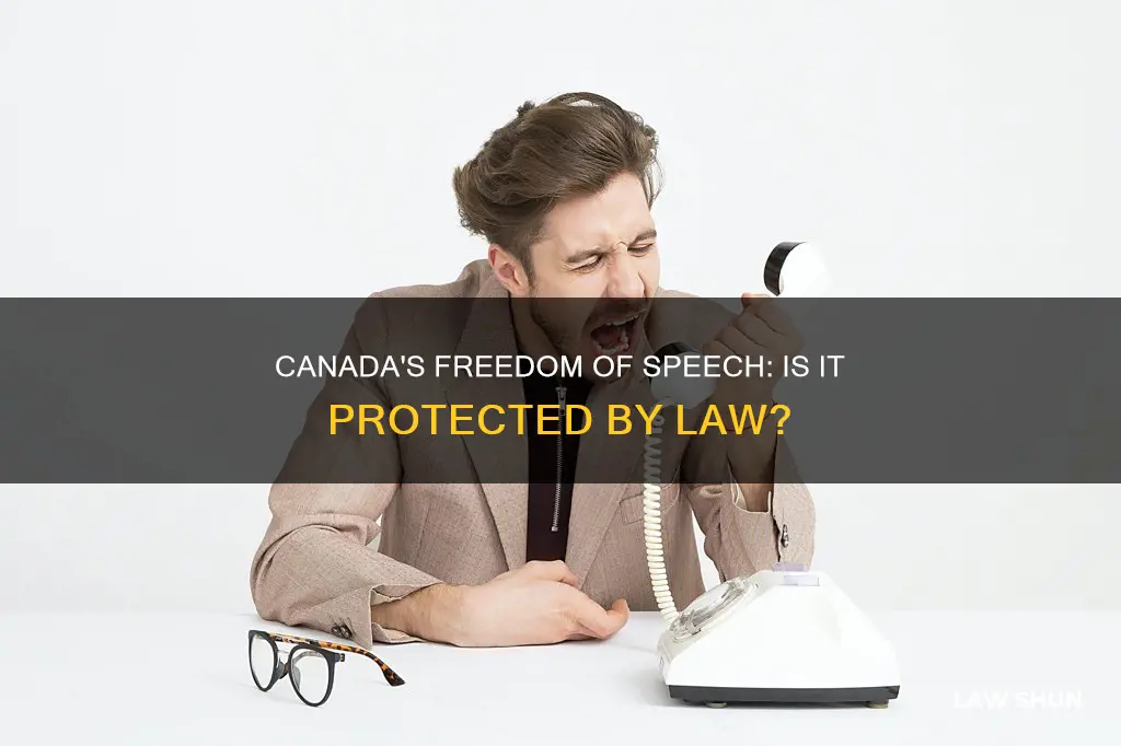 Canada's Freedom Of Speech: Is It Protected By Law? | LawShun
